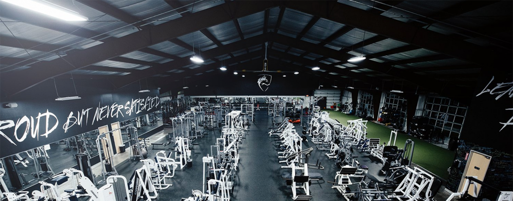 AlphaleteAthletics Review